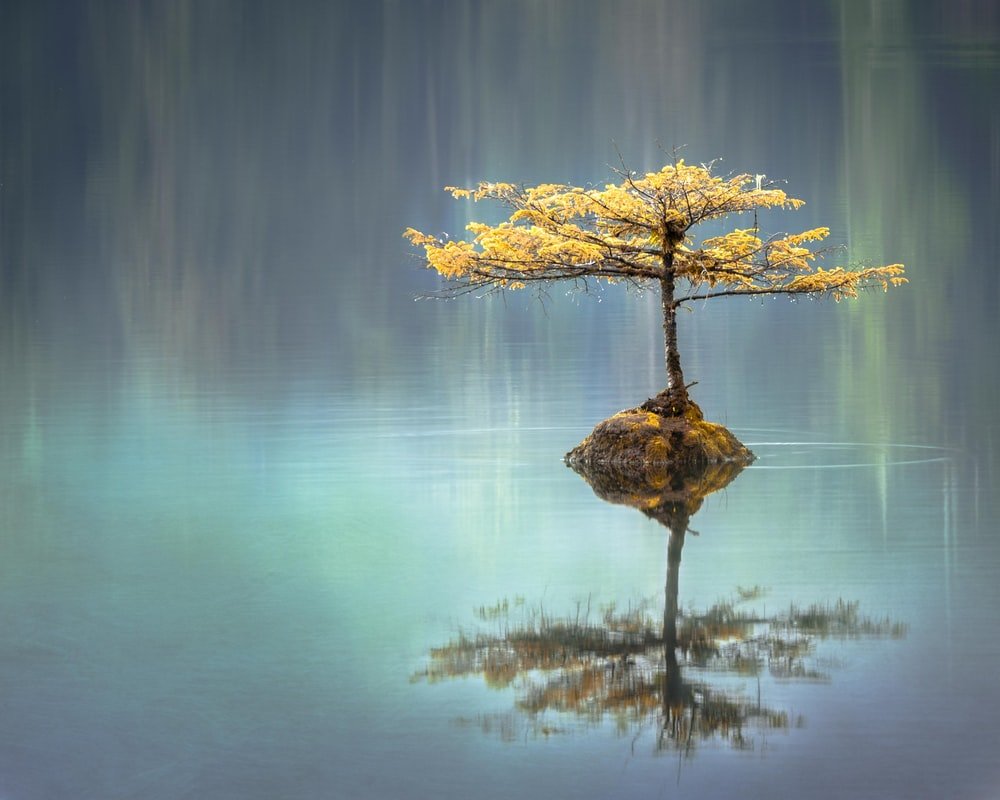 5 Tips to Create a Peaceful Environment: Relax and Escape at Home ...